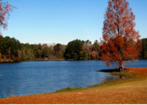 How To Describe Settings