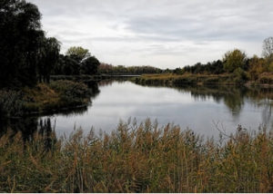 Master List for Describing Weather