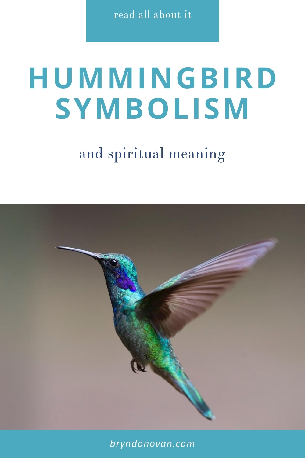 Hummingbird Symbolism and Spiritual Meaning