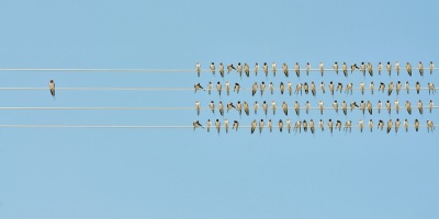 How to Be an Outlier