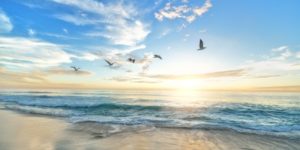 How to Describe a Beach…Brilliantly